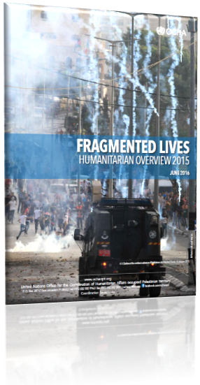 Israeli occupation is the main trigger of humanitarian needs among ...