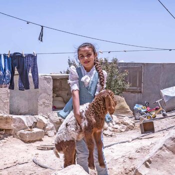 The Humanitarian Programme Cycle | United Nations Office for the ...